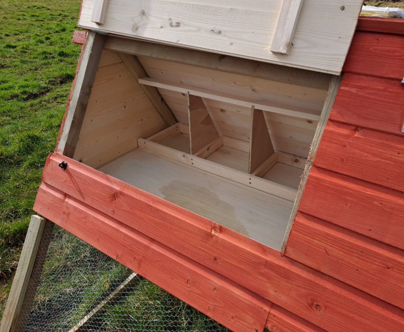 Portable Chicken Arc - Binghams Bees & Coops Hillsborough